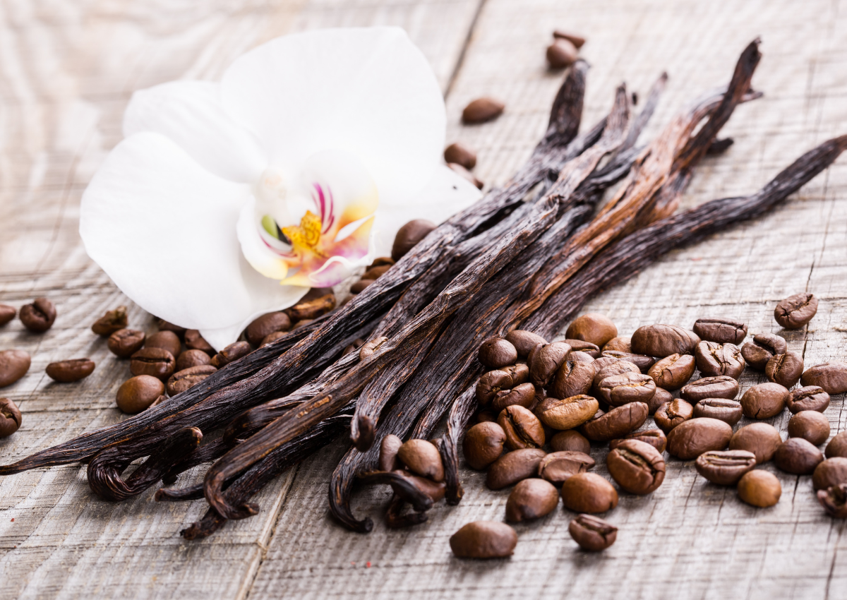 Benefits of Infused Vanilla for the Skin– Authentic Body and Soul